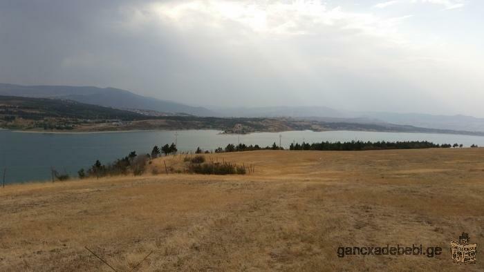 iyideba nakveTi Tbilisis zRvaze - Tbilisi - GEO1054418 gancxadeba ...