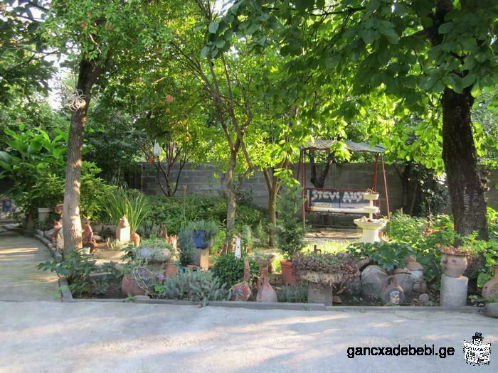 qiravdeba bina! - Tbilisi - GEO1361466 gancxadeba - uZravi qonebis ...