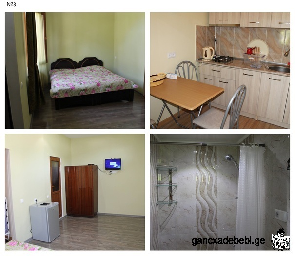 qiravdeba bina borjomSi - borjomi - GEO1338797 gancxadeba - binebi ...